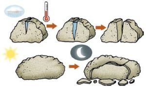 Rochas Sedimentares: formação, tipos e exemplos - Cola da Web